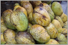 Blog Chik Att: JERUK MEMPELAM TELUR